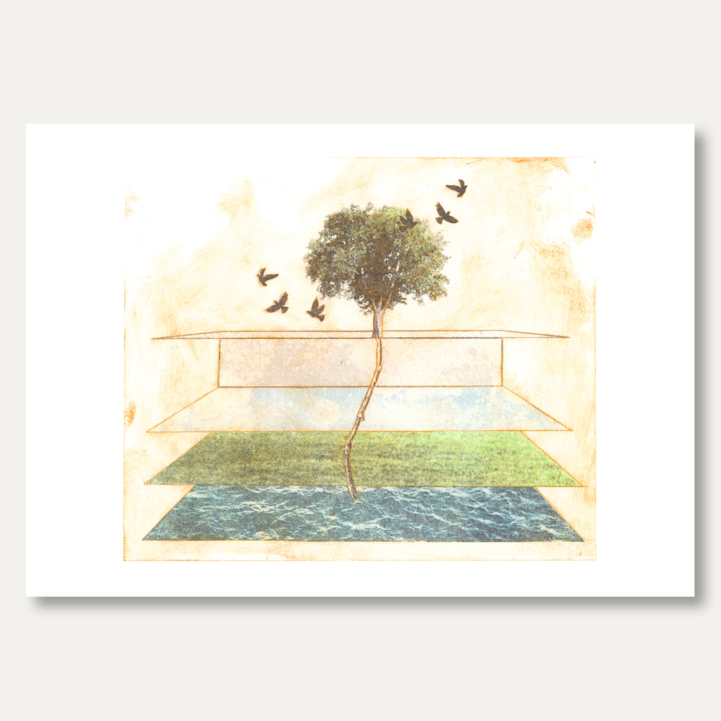 'Ecological Strata' by William Woods – Artstart